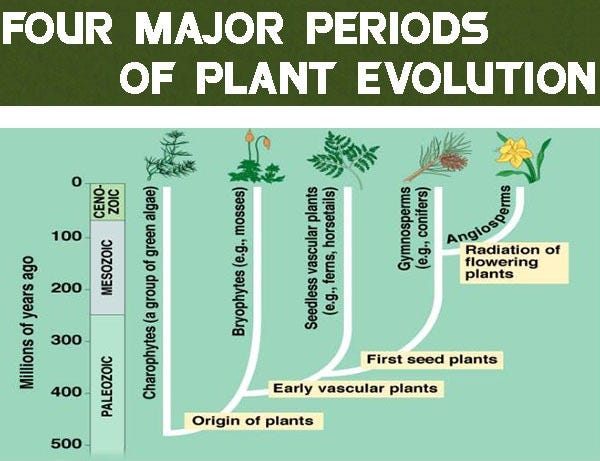 Plant Evolution