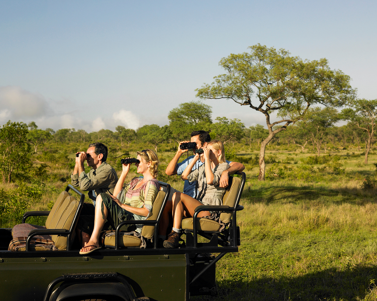 Travel Essentials: Safari Edition | by 365 Adventures | Feb, 2024 | Medium