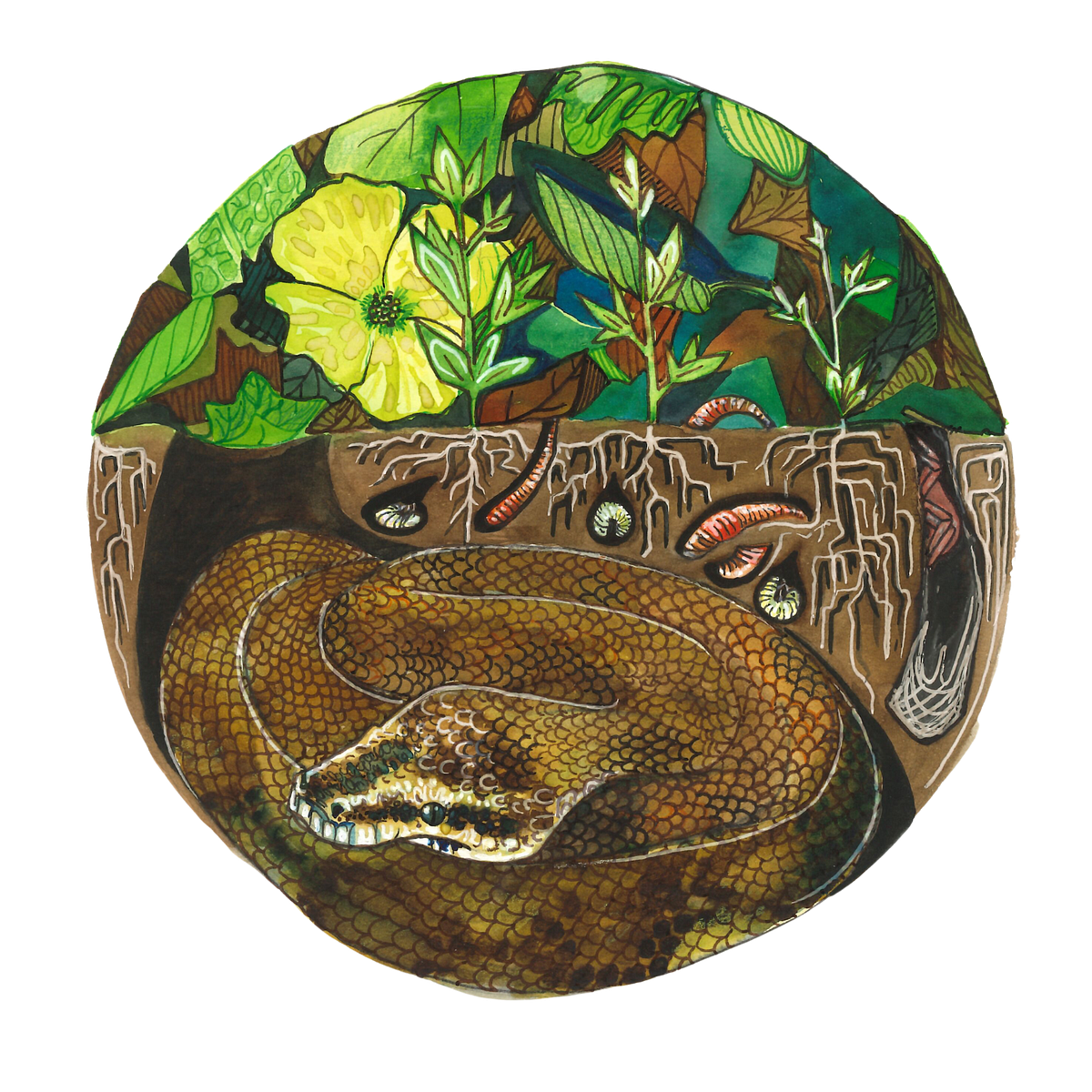 The ‘Restoration for Profit’ storyline in regenerative agriculture | by ...