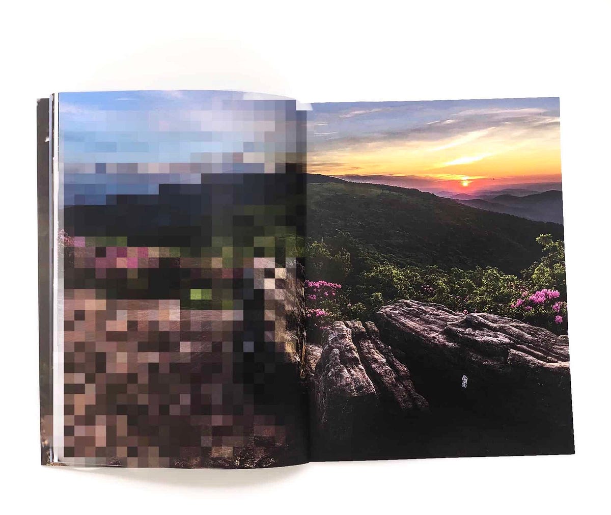 Pixels Per Inch For Print Photoshop Image Size And Resolution To Get