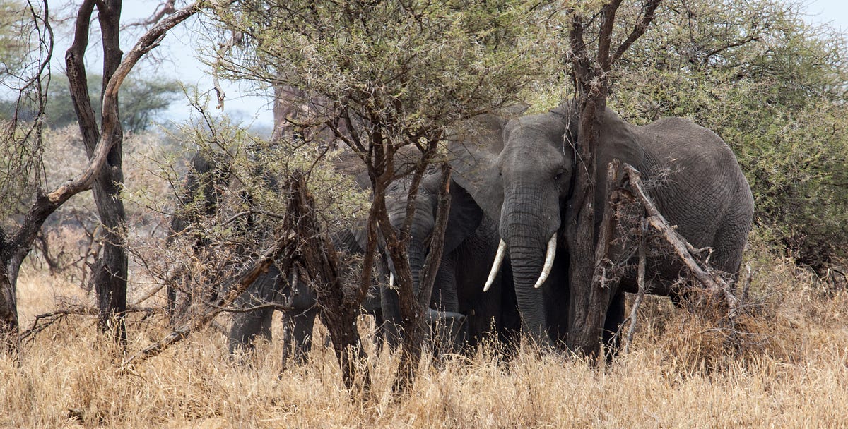Designing The Most Performant Row Level Security Schema In Postgres By Caleb Brewer Medium