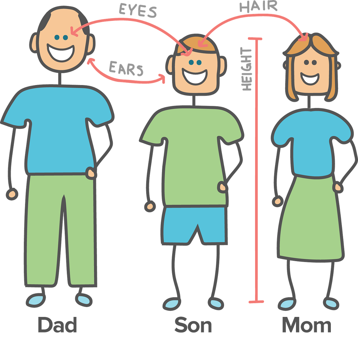 Different Aspect of Nature v. Nurture | by Larissa F | Medium
