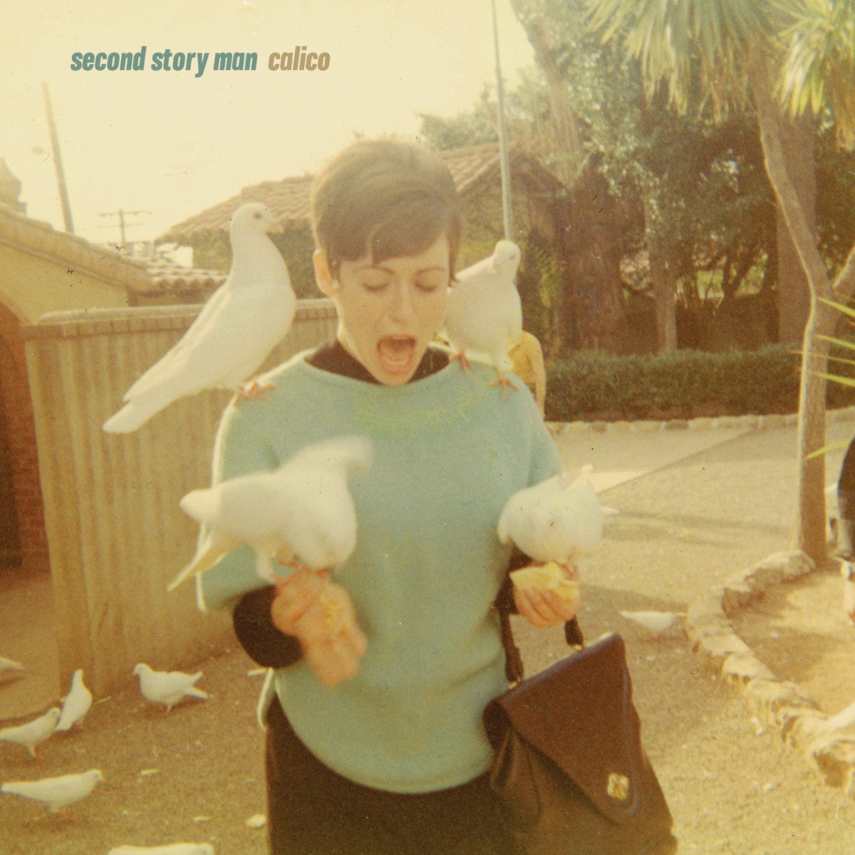 Louisville Indie Rock Band Second Story Man Returns with New Album ...