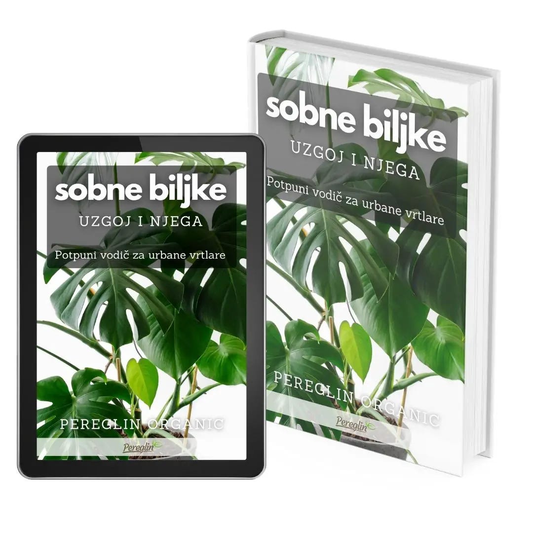 sobne biljke eknjiga | by OPG Pereglin | May, 2023 | Medium