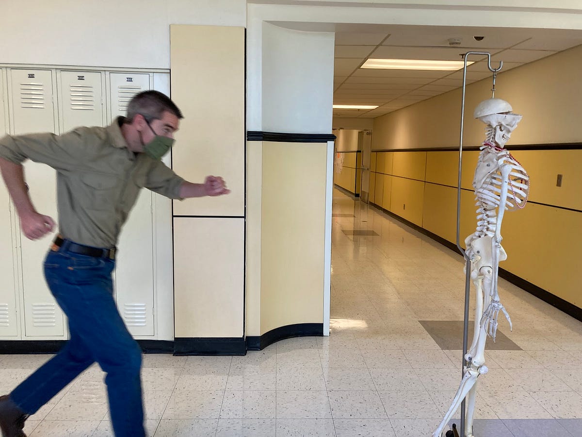 Bones Escapes Burg’s Classroom. By Dillon Bergmann | by The Sunset ...