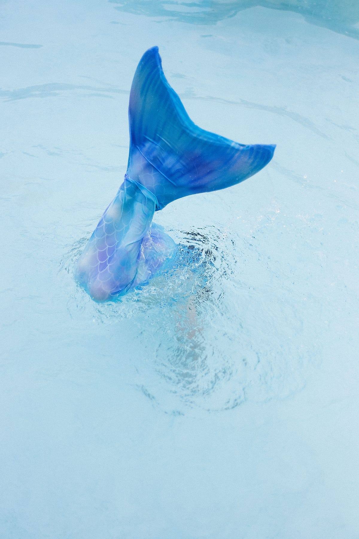 Blue Dolphins. My body shudders. A wave of pleasure… | by Elisei Rusu ...