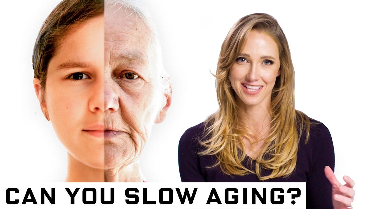 WHAT ARE THE HEALTH MEASURES THAT HELP SLOW BIOLOGICAL AGEING? | by ...