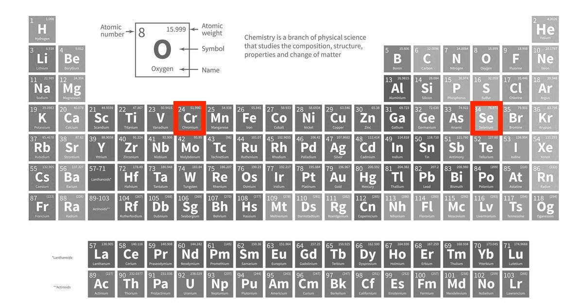Chromium and Selenium in AWS Lambda | by Vittorio Nardone | Level Up Coding