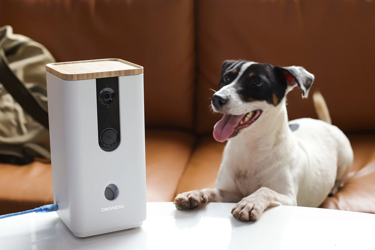 Revolutionizing Pet Care: Top Innovations and Trends to Keep Your Furry ...