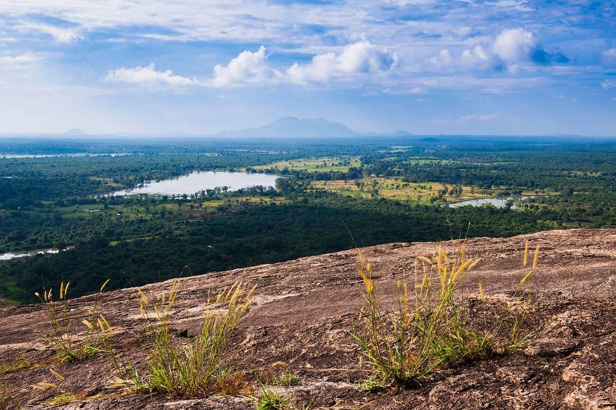 Discover the Majestic Pidurangala Rock in Sri Lanka | by Lokesh Chandra patel | Jul, 2024 | Medium