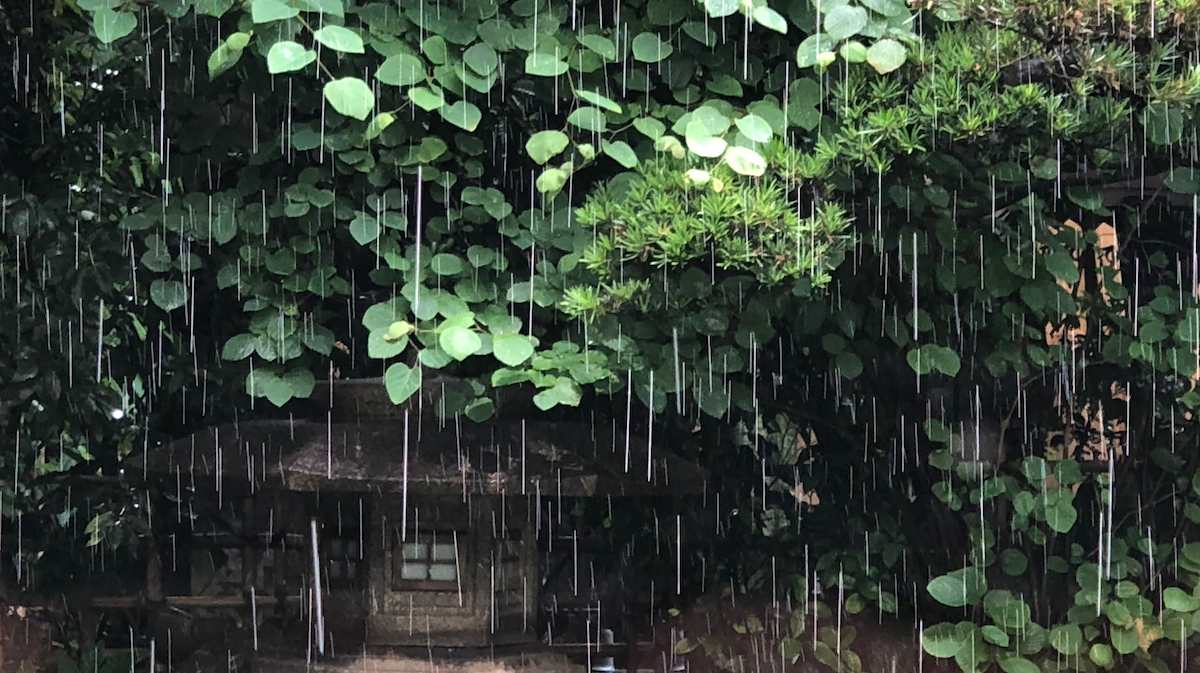 Lazy Load Apollo Link in Apollo Client | by Daishi Kato | ITNEXT