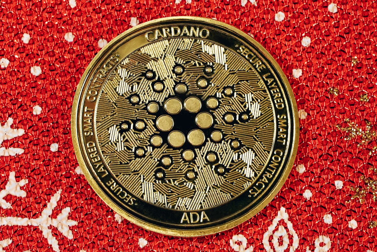 Who is Charles Hoskinson: the father of Cardano? | by ...