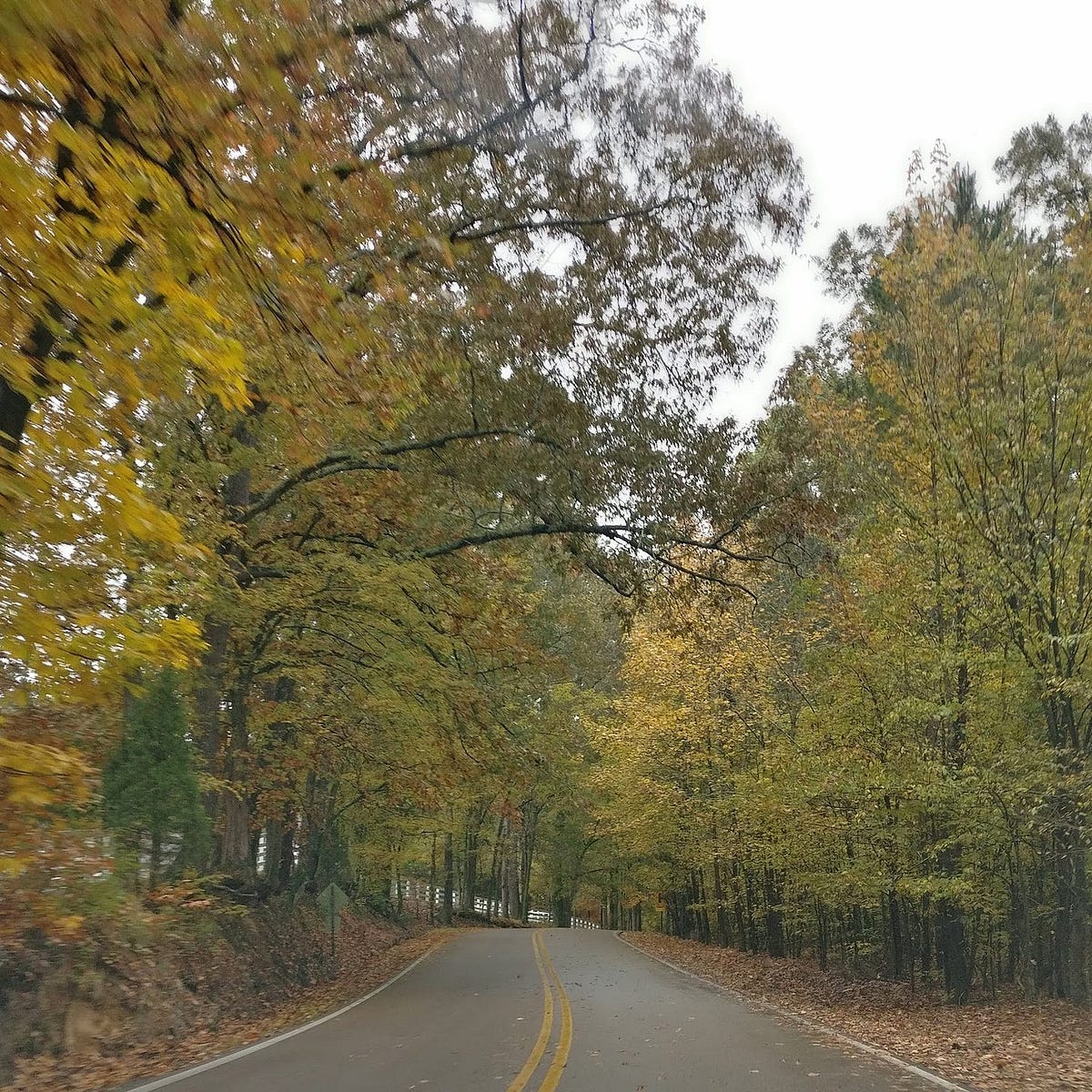 Taking ownership means prettier drives | by Ben Thompson | Feb, 2024 ...