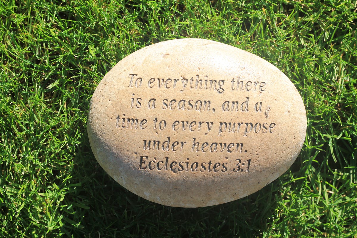 Everything Is (Not) Meaningless. Thoughts on Reading Ecclesiastes | by ...