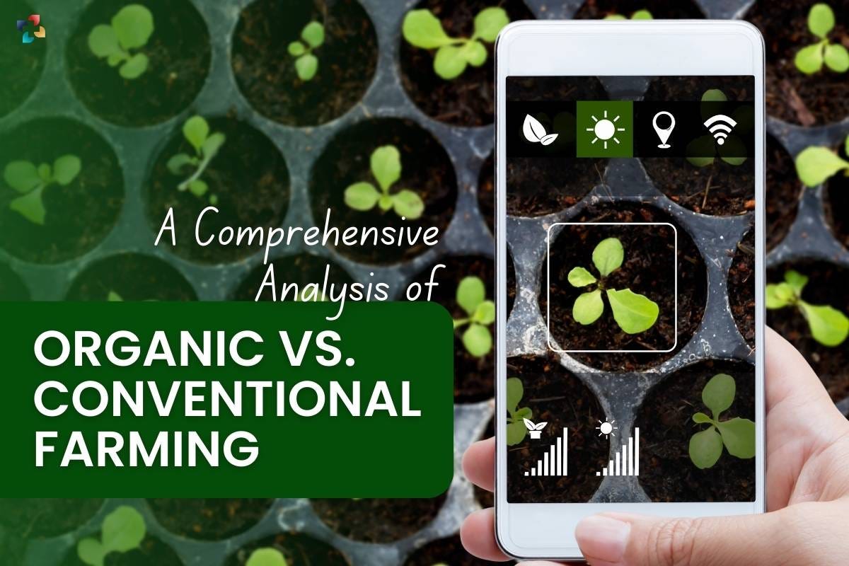 Nourishing the Earth: A Comprehensive Analysis of Organic vs ...