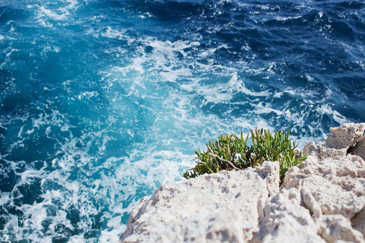 THE SNOT-GREEN SEA. A storm-blessed salty awakening | by John E Marks ...