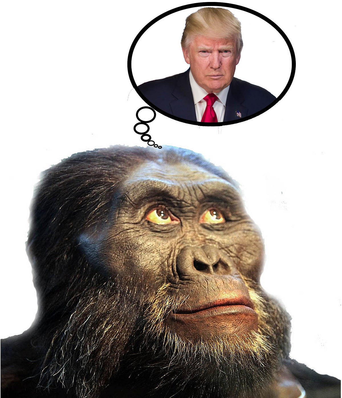 The King Is Dead, Long Live The King! | by Eric Lee | Medium