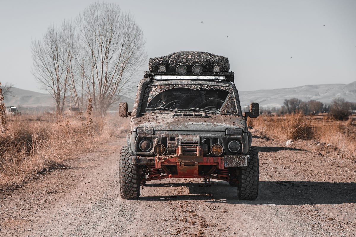 Animal Theory in Mad Max: Fury Road | Medium