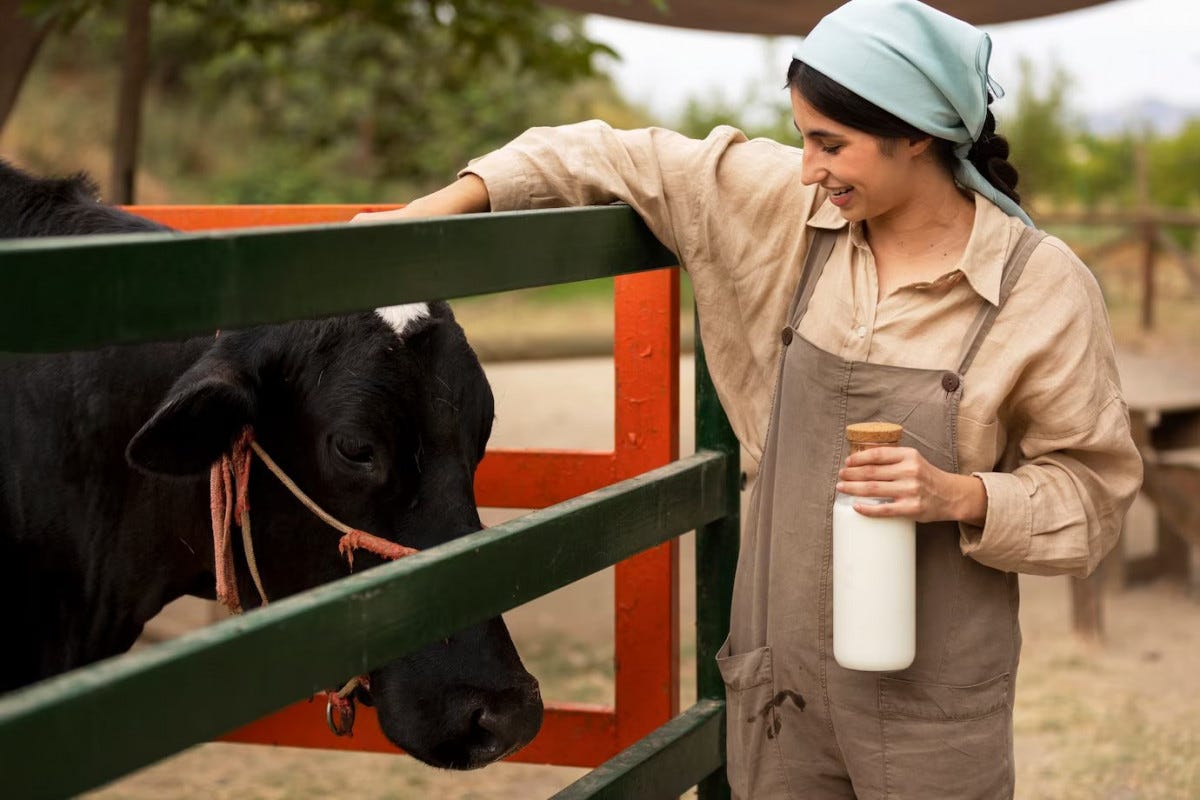 An In-Depth Guide To Obtaining Feeder Cattle Oct 2023 Through An API ...
