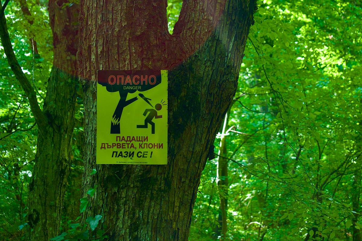 Living Jinxed. Feeling powerless to create change… | by Nessa Emrys ...