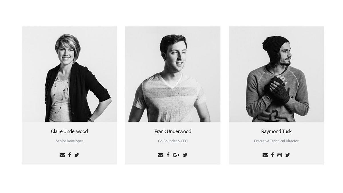 What is the Team Members Page in WordPress? Ultimate Guide | by William ...