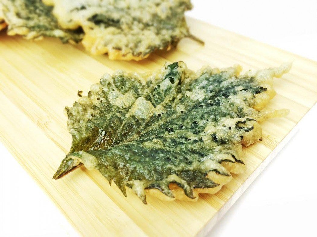 Recept: Shiso in Tempura | by Sushi-San | Sushi love | Medium