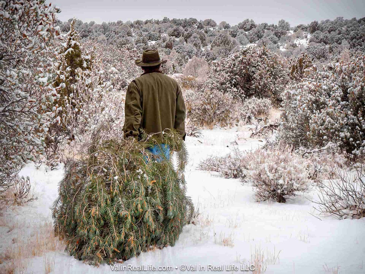 Postcards from Real Life: Holiday | by Val Weston | Dec, 2025 | Medium