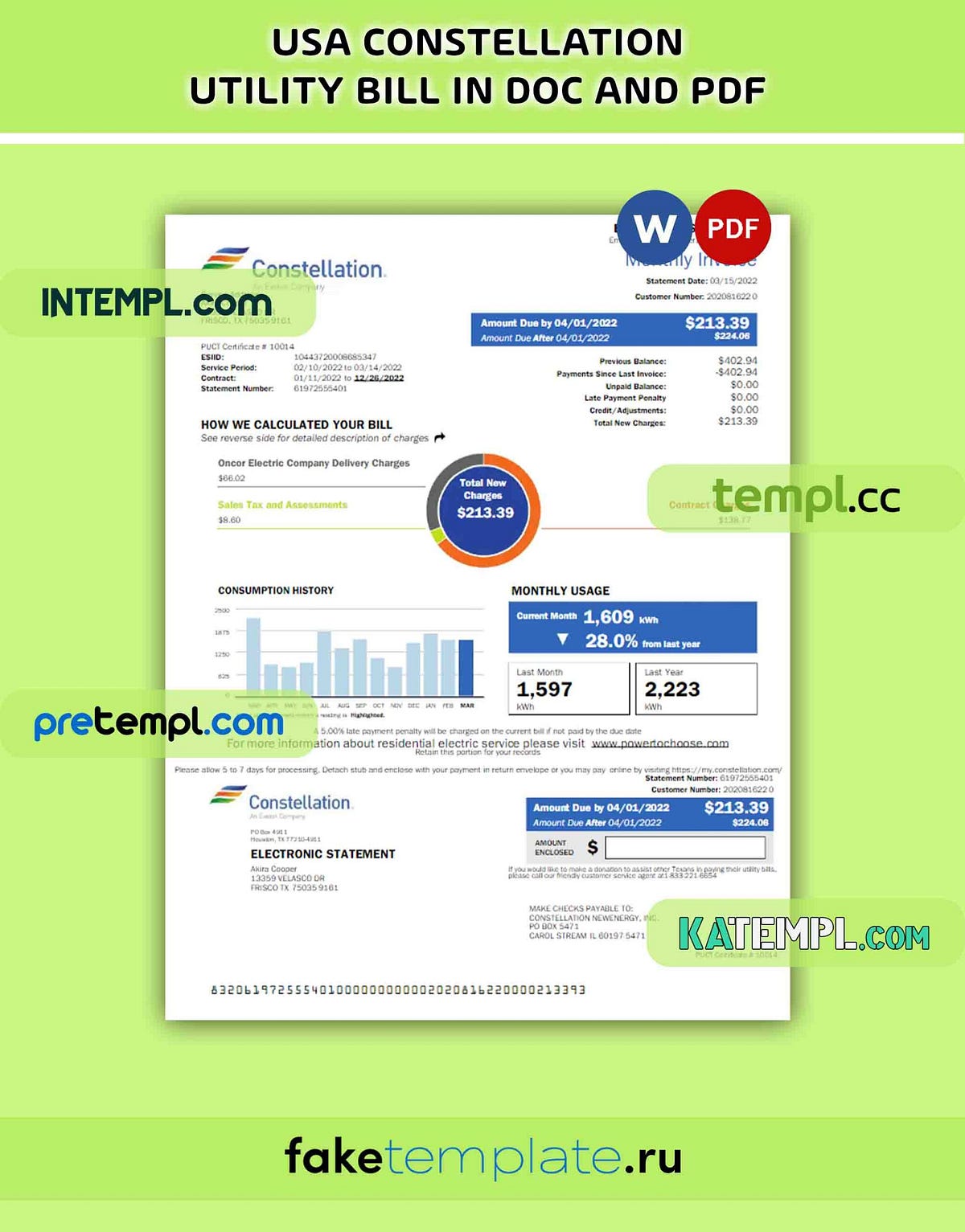 USA CONSTELLATION utility bill, PDF and Word download template | by Inntemmpl | Jun, 2024 | Medium