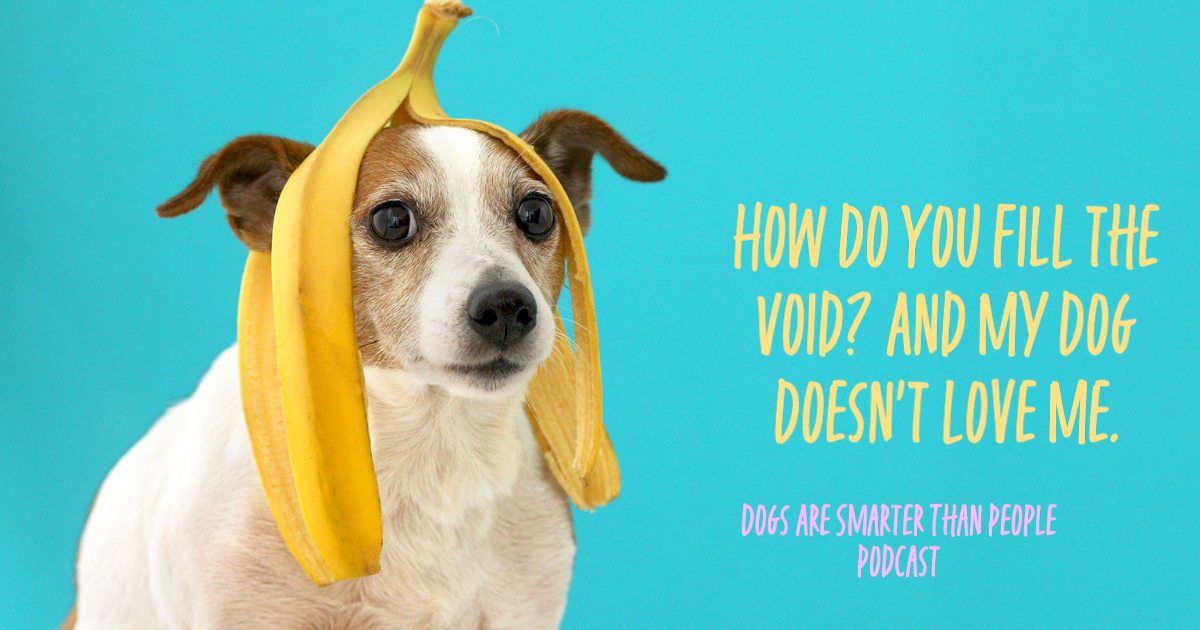 How Do You Fill the Void? And My Dog Doesn’t Love Me. | by Carrie Jones ...