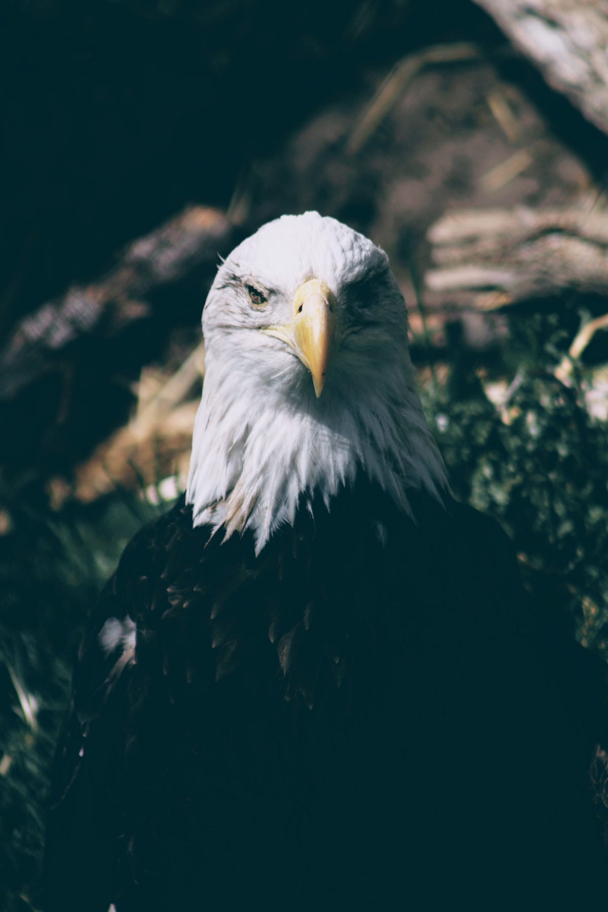 How to Practice Stoicism in Your Daily Life: A Beginner’s Guide | by ...