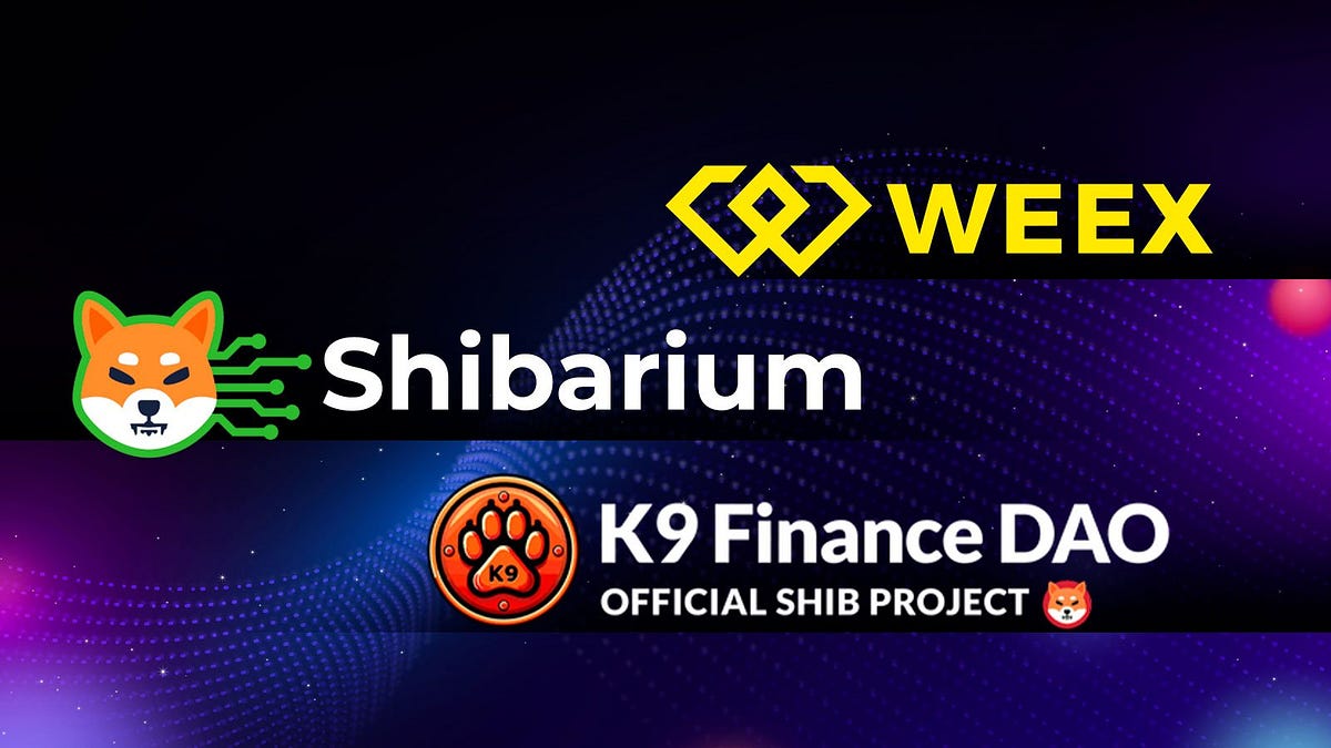 The Biggest Breaking News on 2024: WEEX and SHIB Partnership: A Major Step Forward for the WXT ...