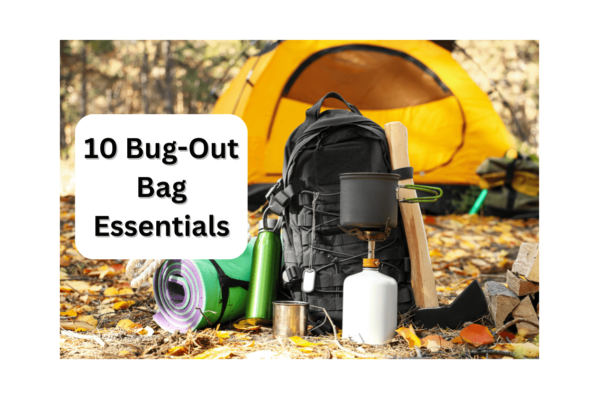 10 Bug-Out Bag Must-Have Survival Essentials For A Resilient Success ...