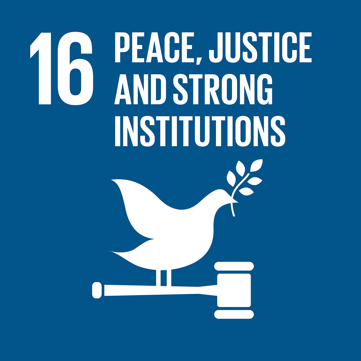 What role does the UN play in preserving human rights? | by Anosha | Medium