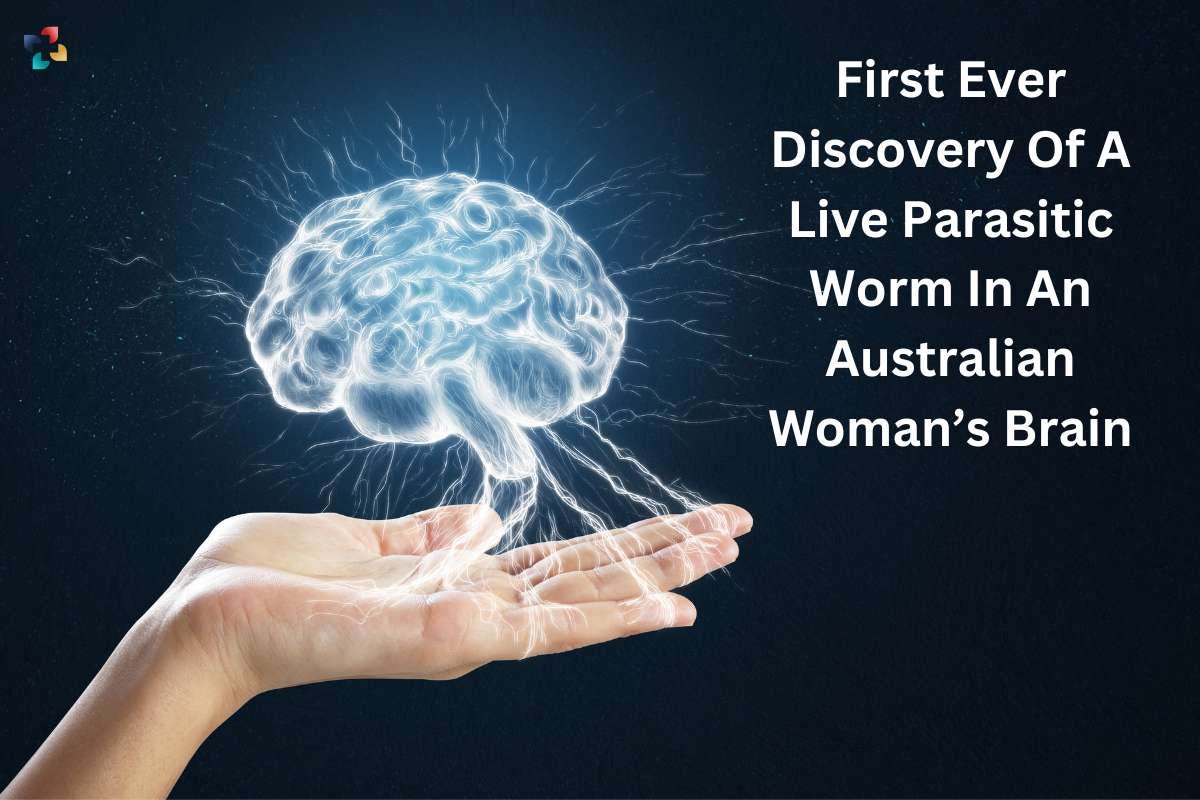 First Ever Discovery Of A Live Parasitic Worm In An Australian Woman’s ...