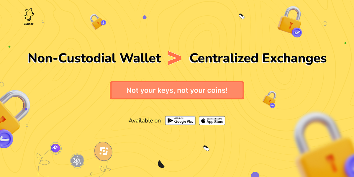 Non-Custodial Wallets: A Safer Alternative to Centralized Exchanges ...