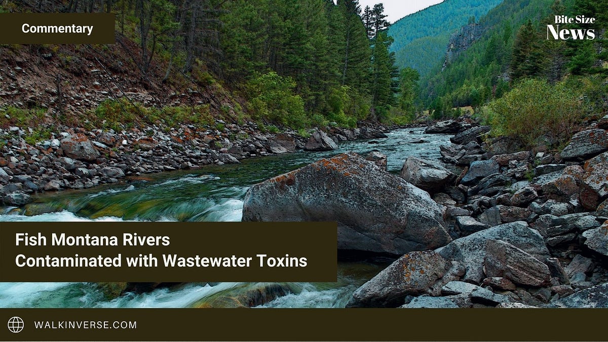 A Little Fact They Don’t Want You to Know About Montana Rivers | by ...