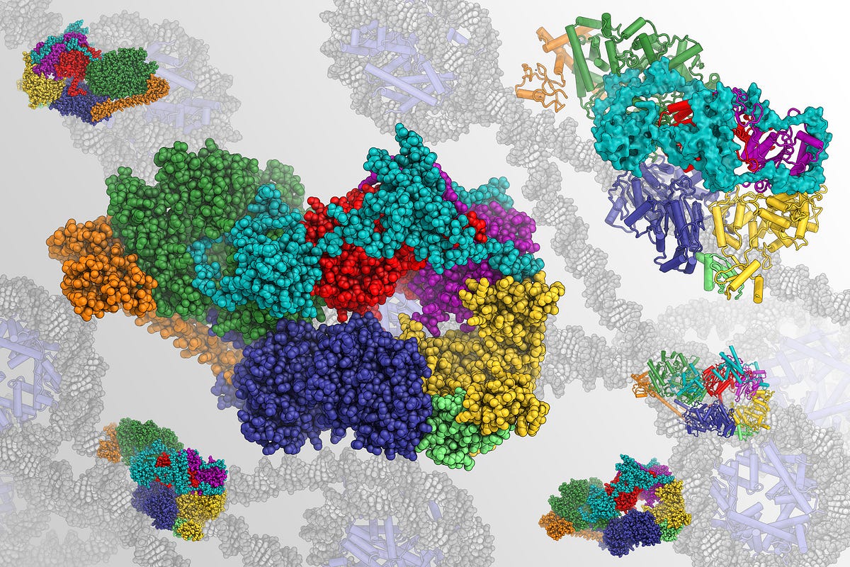 Details coming together. An atomic map of a protein complex that… | by ...
