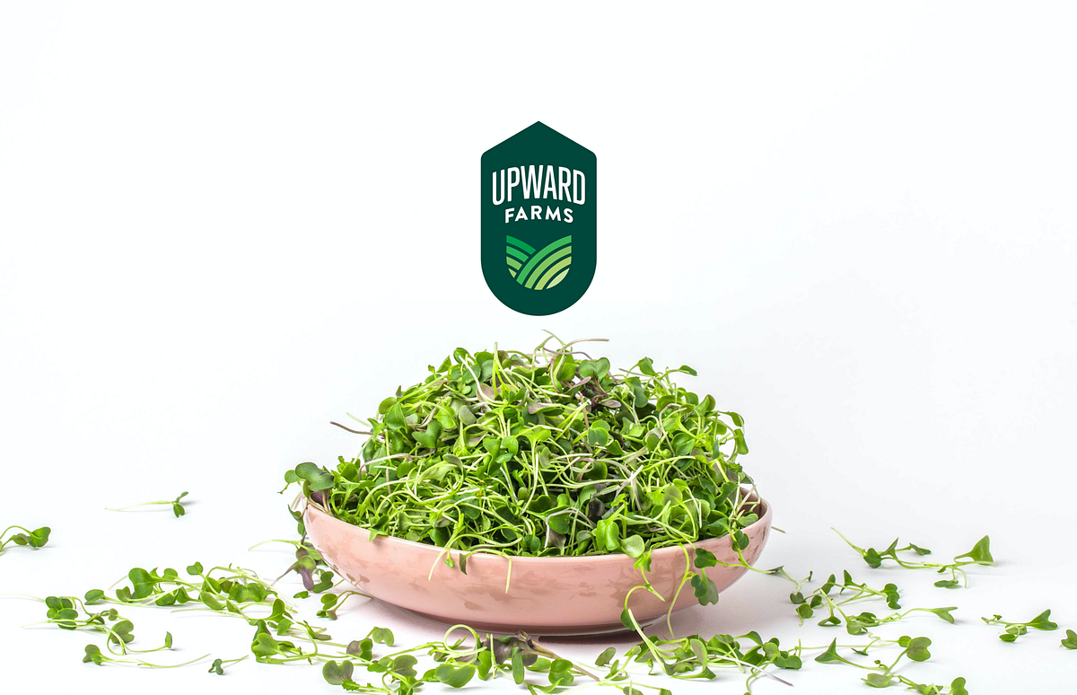 Investing in Upward Farms: Vertical Farming 2.0 | by Suzanne Fletcher ...