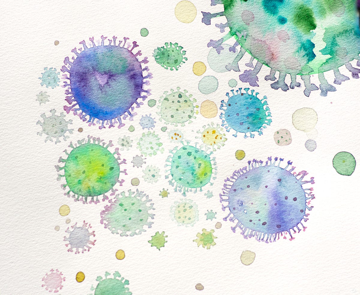 The Fascinating World of Bacteria: Small but Mighty | Curious Facts