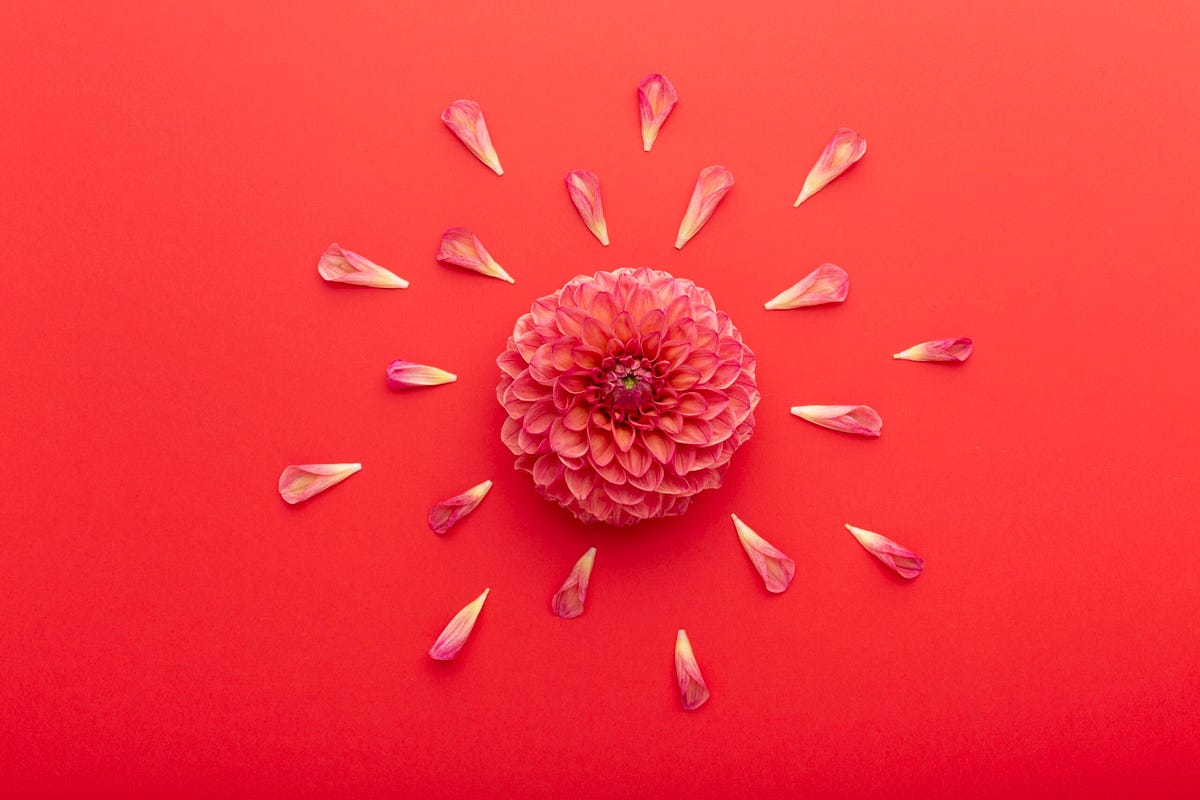 Birth Flower for Astrology: A Guide to Understanding Your Flower Sign ...
