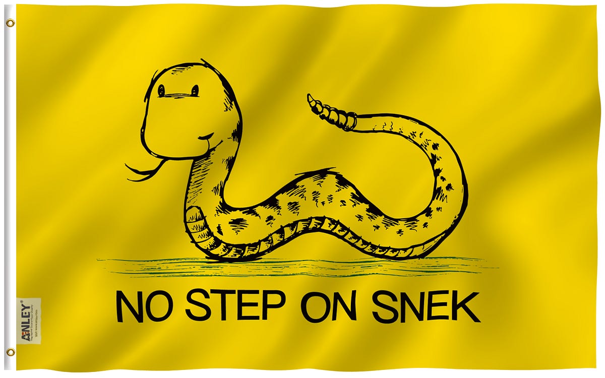 5 rules to design a flag. Vexillography is the art of designing… | by ...
