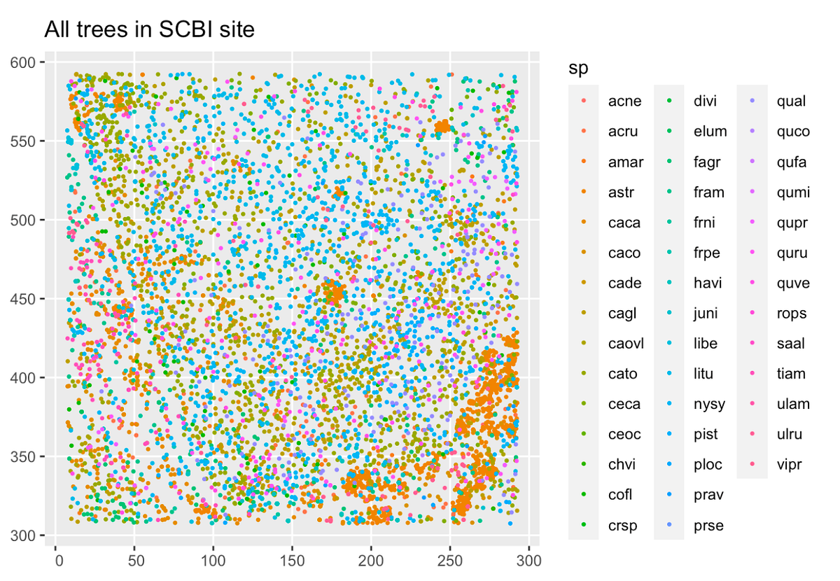 Modeling the Growth of Trees. How do trees grow? What will happen to ...