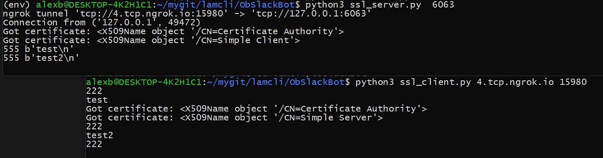 Secure Python socket with ngrok. - alex buzunov - Medium
