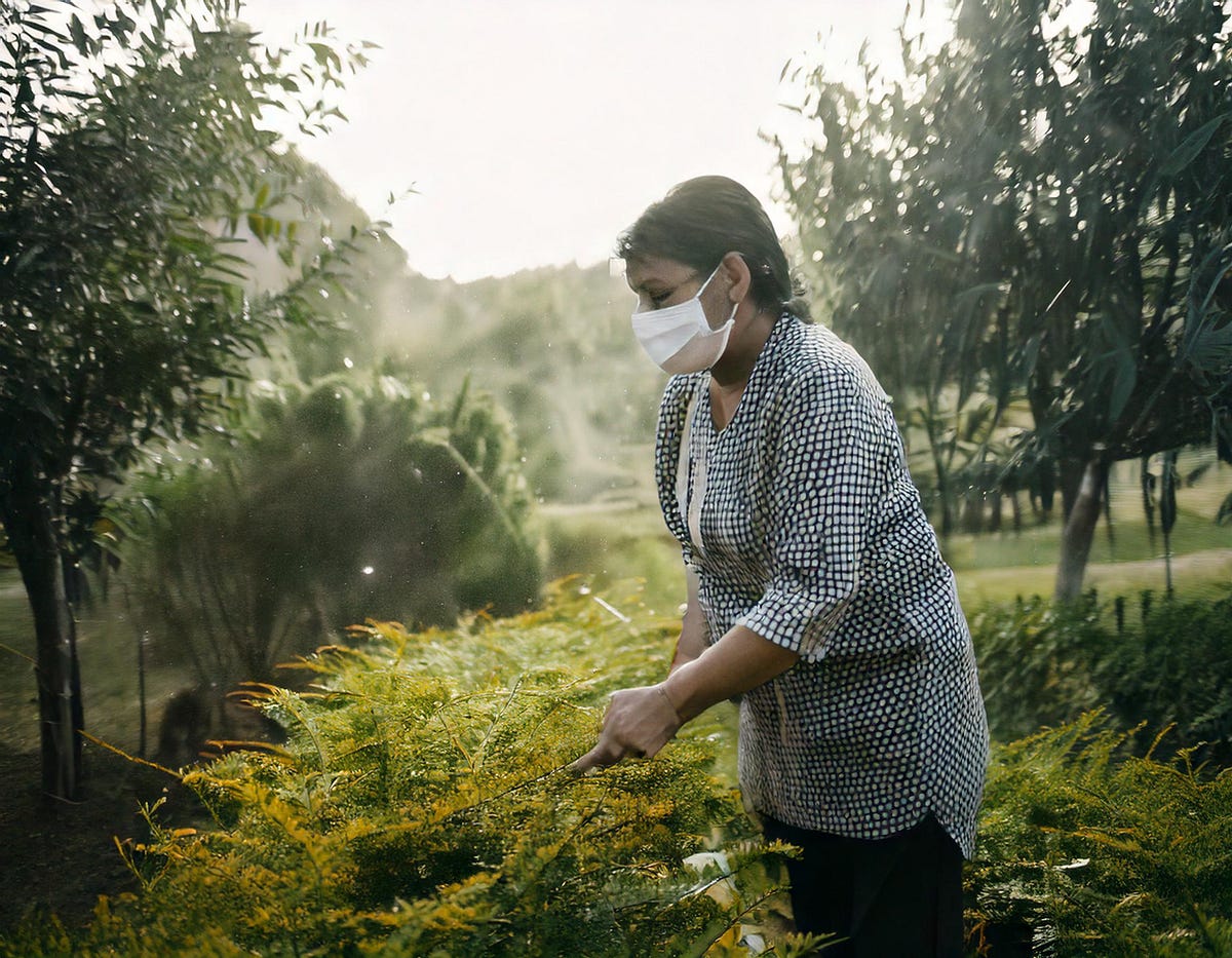 Rising Pollen Levels in Michigan Pose Deadly Risk for Older Adults — U ...