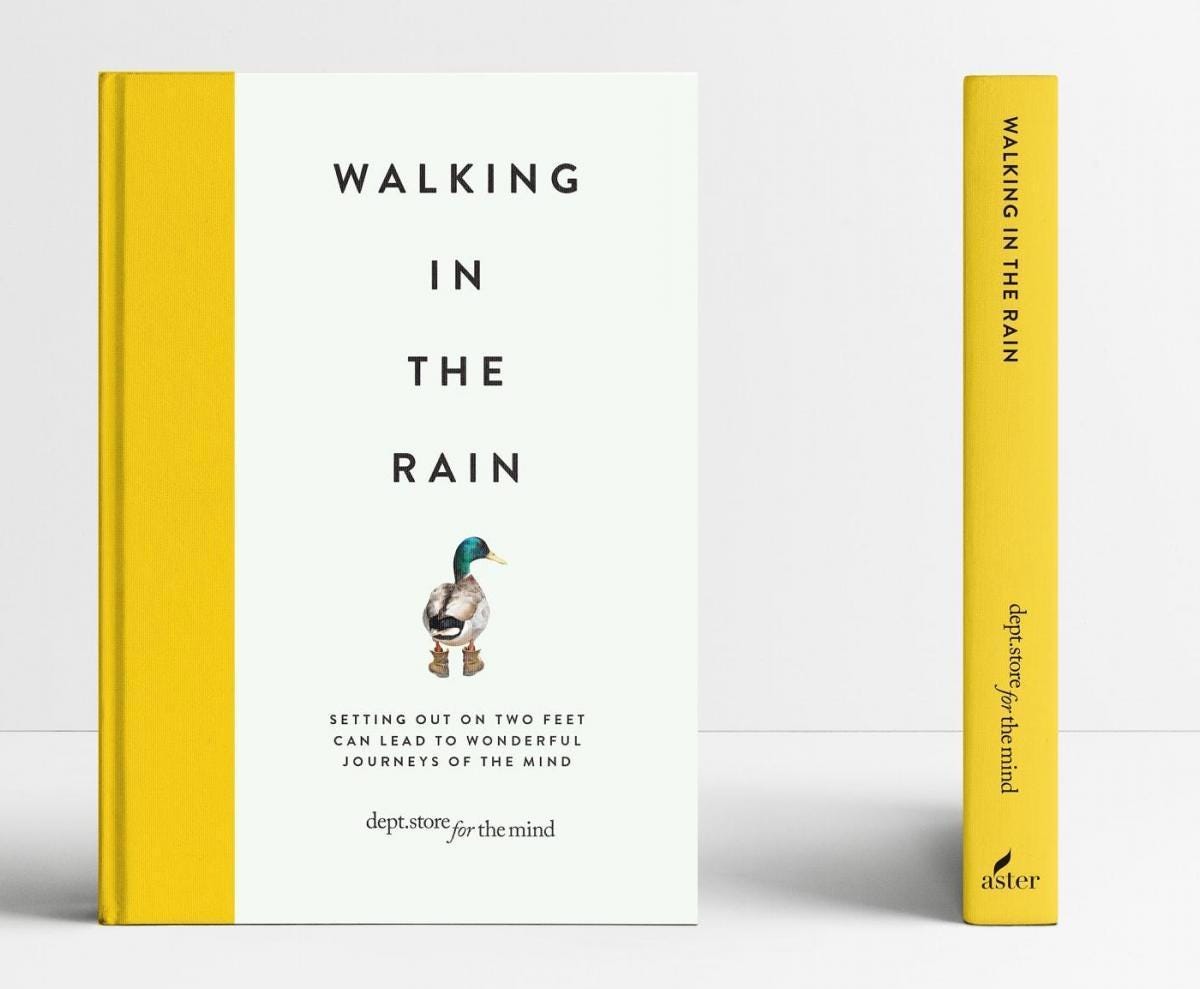 ZINE: ISSUE 11. This week our Interior Designer Sara… | by LOVE. | Medium