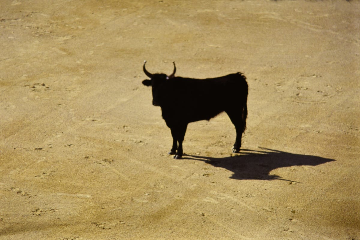 Bullfighting. Cruelty. South America, Mexico, Stop | ILLUMINATION