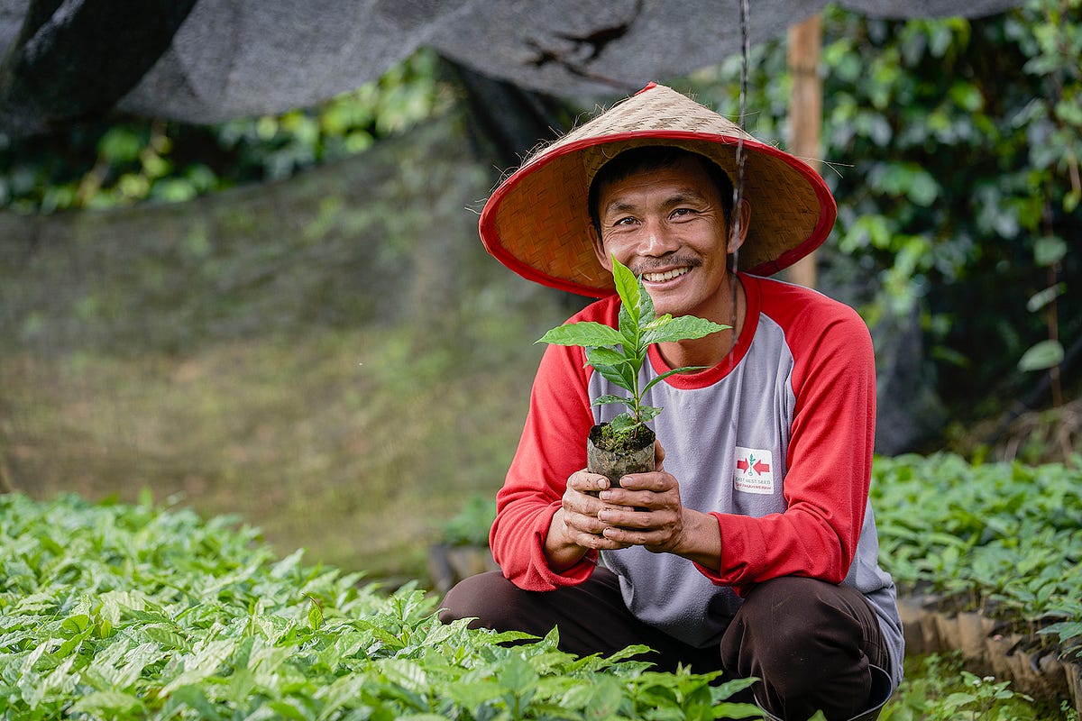 Petani Sebagai Pahlawan Pangan Nasional | by Kisah Rasa Nusantara | Feb ...