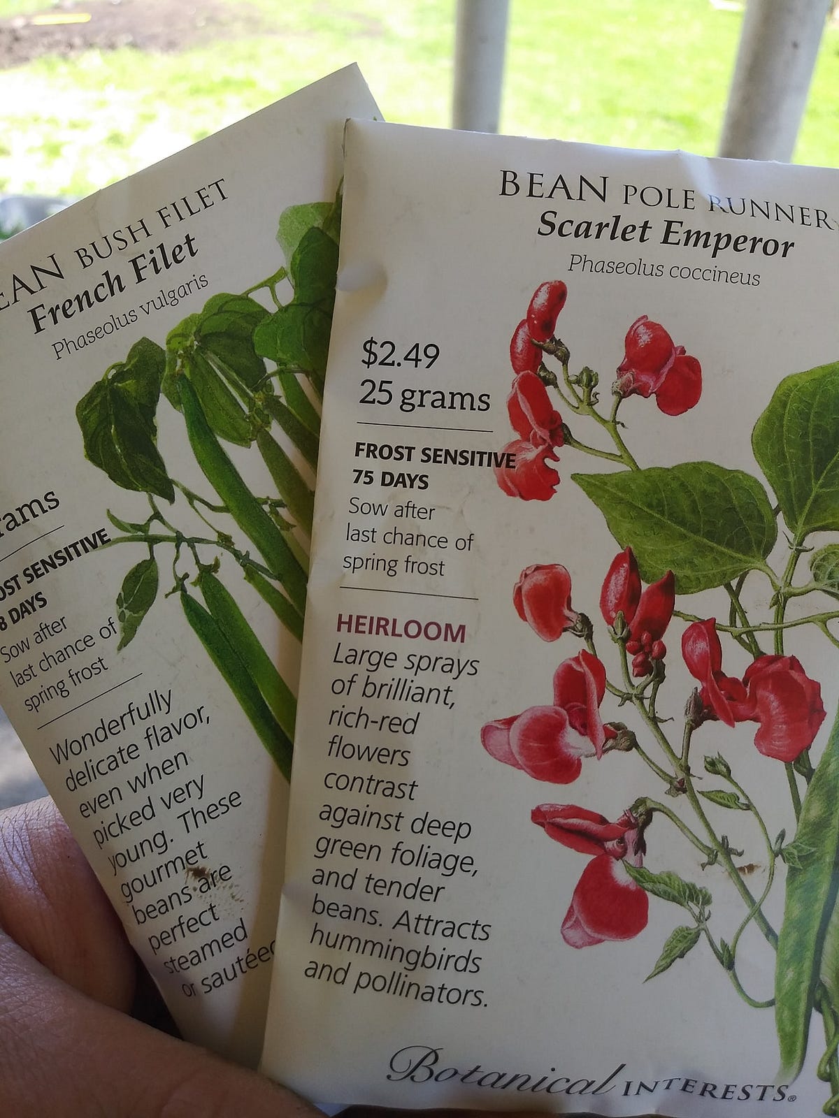 We Began Gardening Season in Quarantine…it Shows! | by Jessica ...