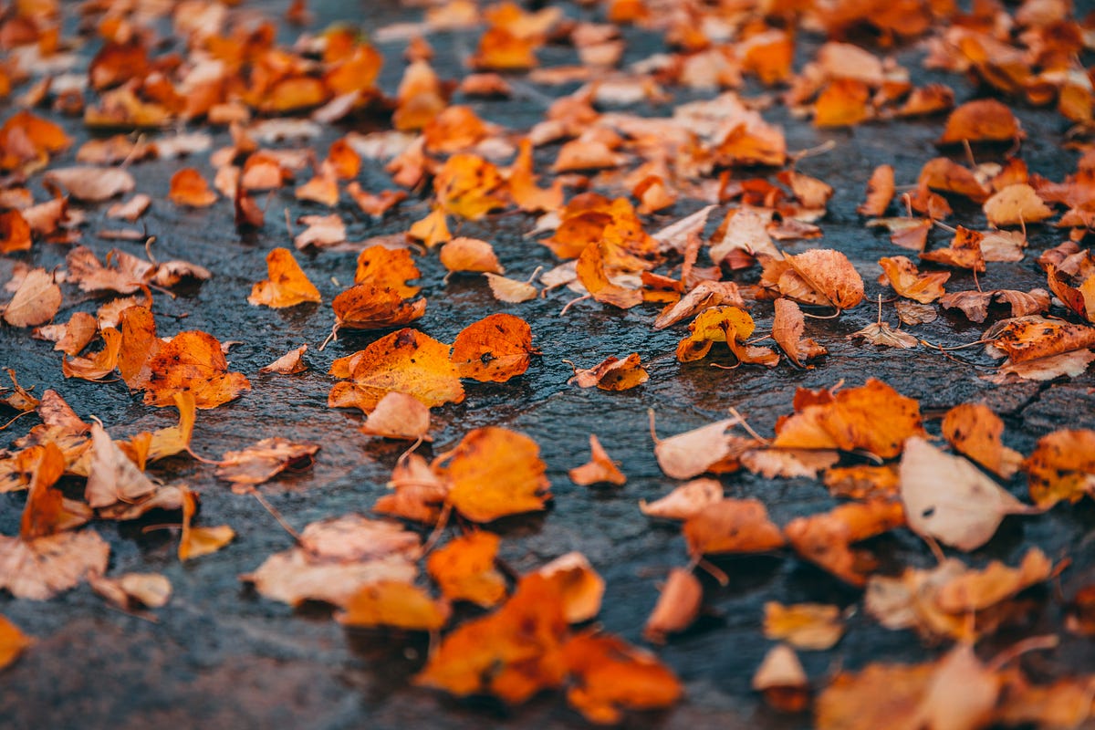 Falling Leaves - Lifeline - Medium