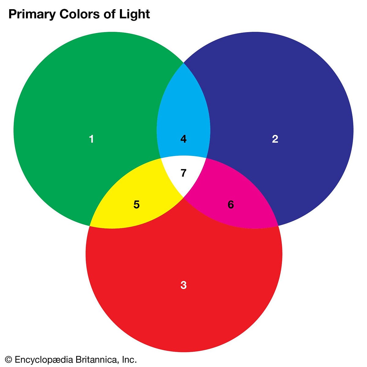 What are the 5 Basic Colors? Discover the Essentials | by Dave | Aug ...